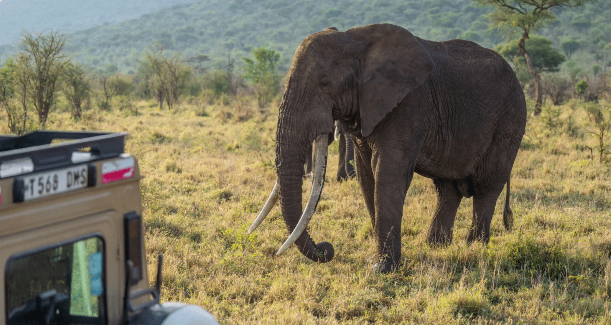 Best Time to Visit Tanzania's National Parks: A Complete Guide ...